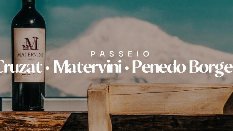 CRUZAT - MATERVINI - PENEDO BORGES - Brasileiros em Mendoza