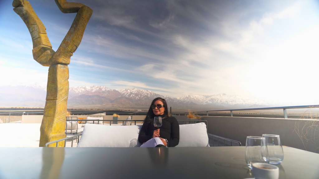 Degustação de vinhos em altitude: o que faz Mendoza tão especial ...